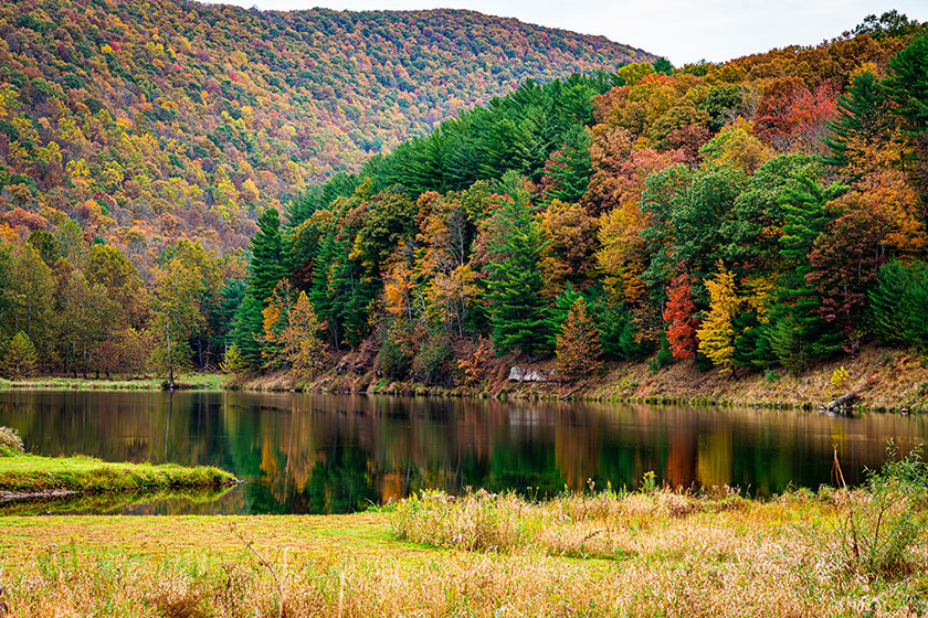 Reasons Why Lehigh County, Pa Is A Great Place For Your Senior Years ...